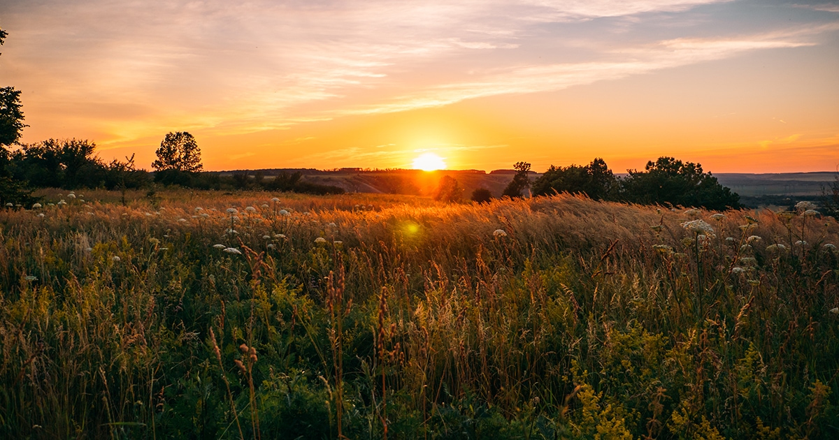 Lots For Sale In Portage - Rolling Prairie WI